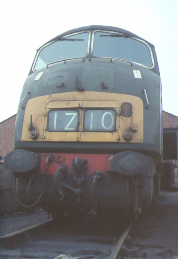 British Rail Class 42 - Trains