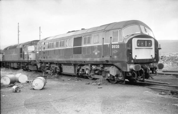 British Rail Class 29 - Trains